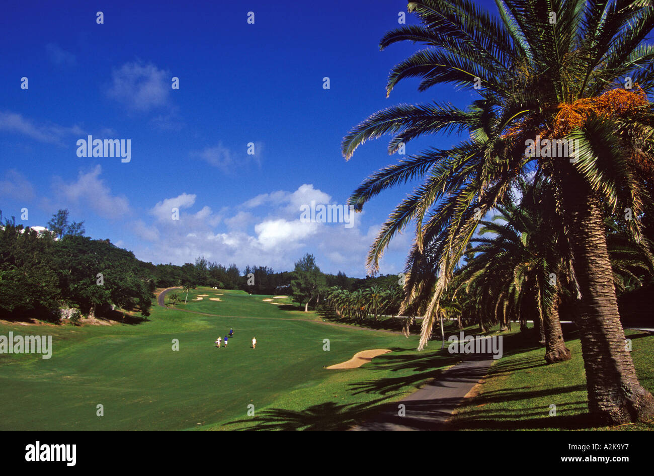 Mid ocean club bermuda hi-res stock photography and images - Alamy