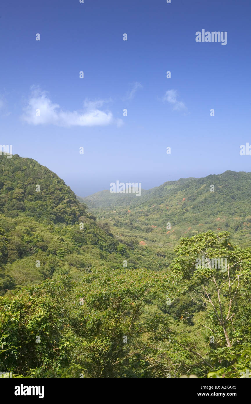 Caribbean, GRENADA, Interior, Grand Etang National Park, Park View from ...