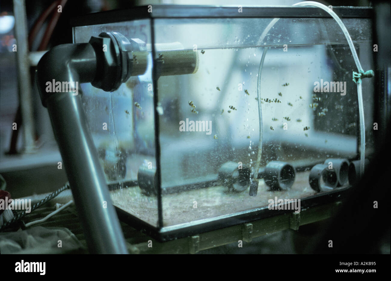 Laboratory and quarantine zones Stock Photo - Alamy