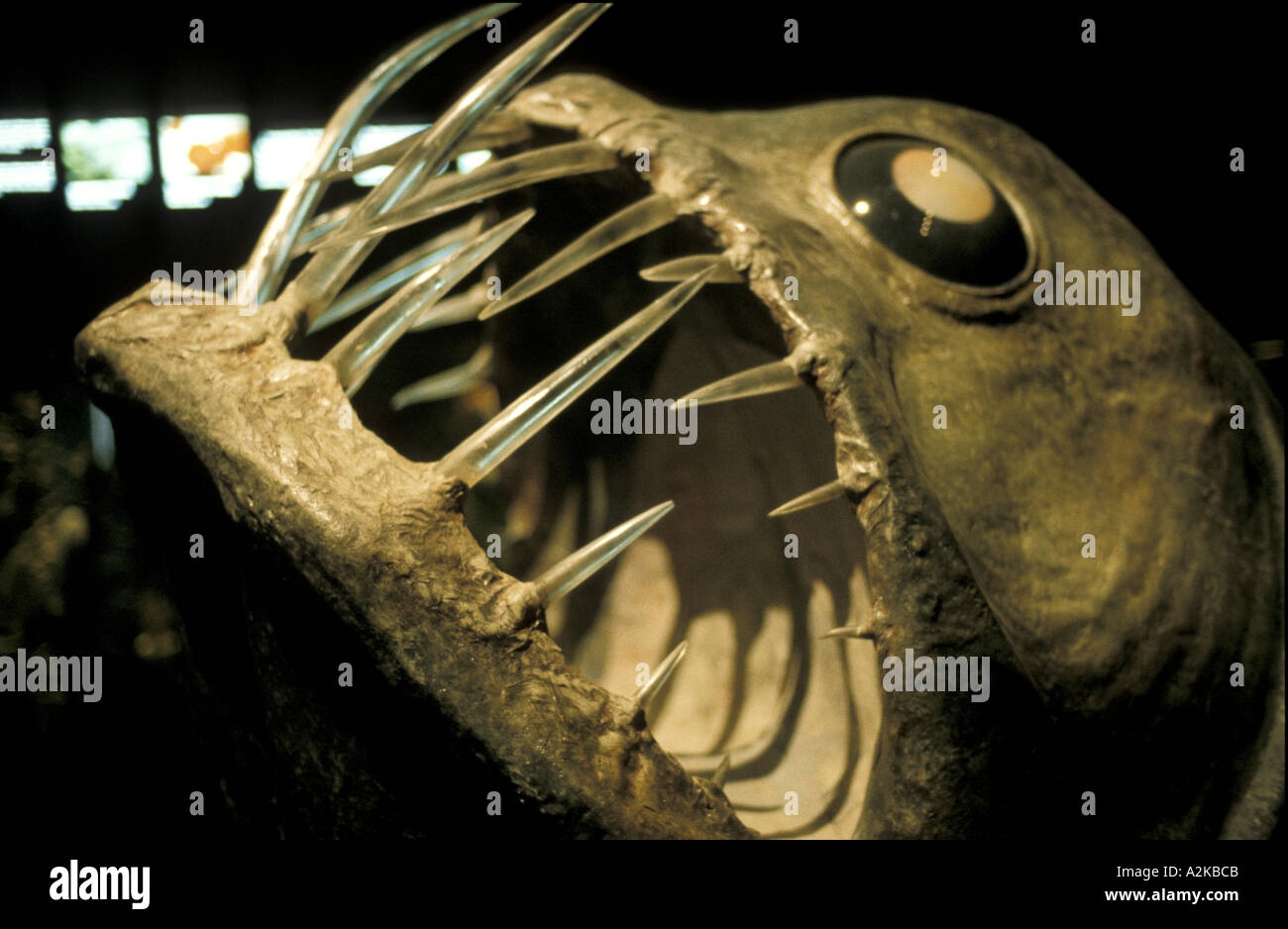 Into the abyss hi-res stock photography and images - Alamy