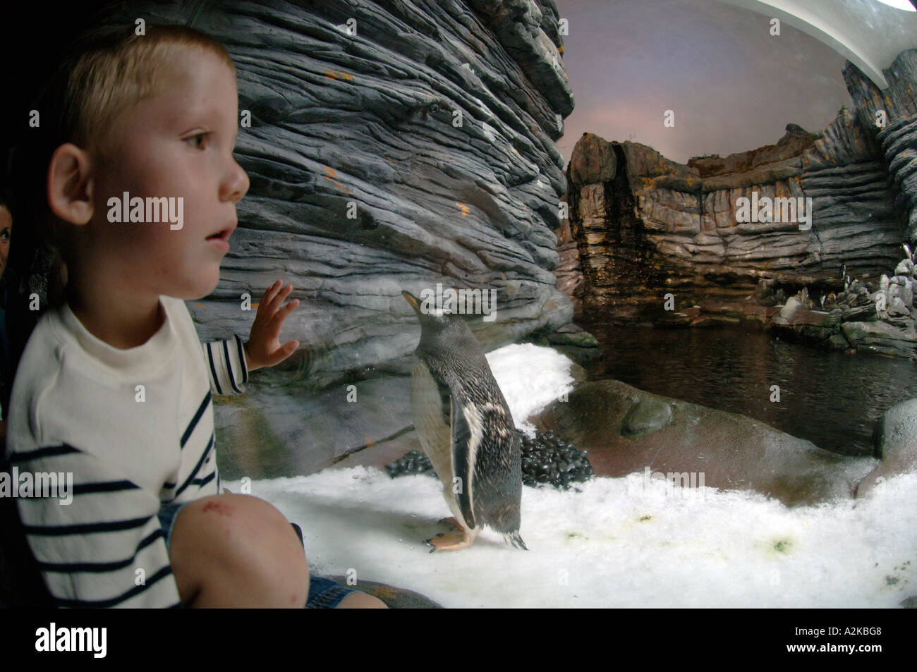 Oceanopolis brest hi-res stock photography and images - Alamy
