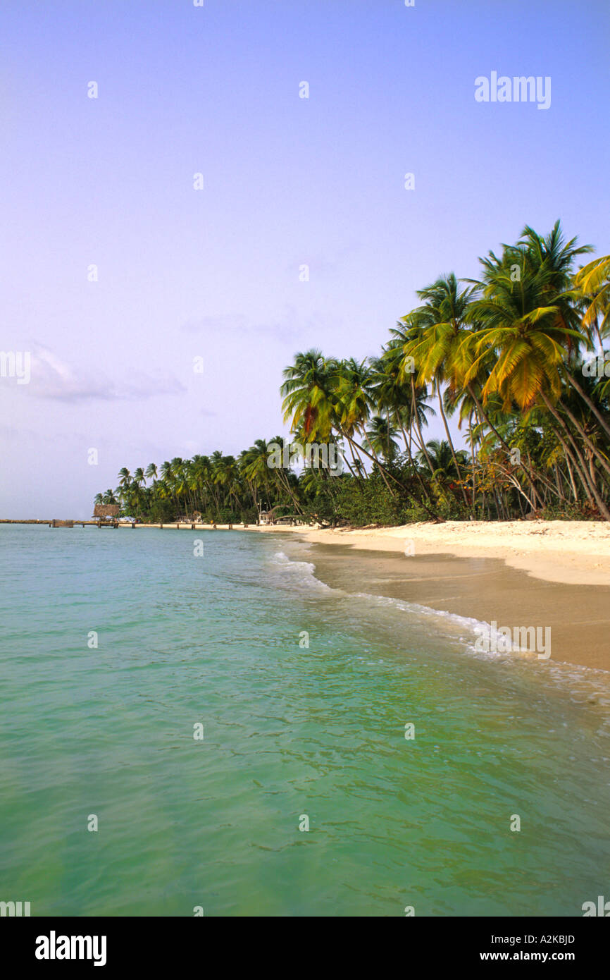 Small beach in puerto rico hi-res stock photography and images - Alamy