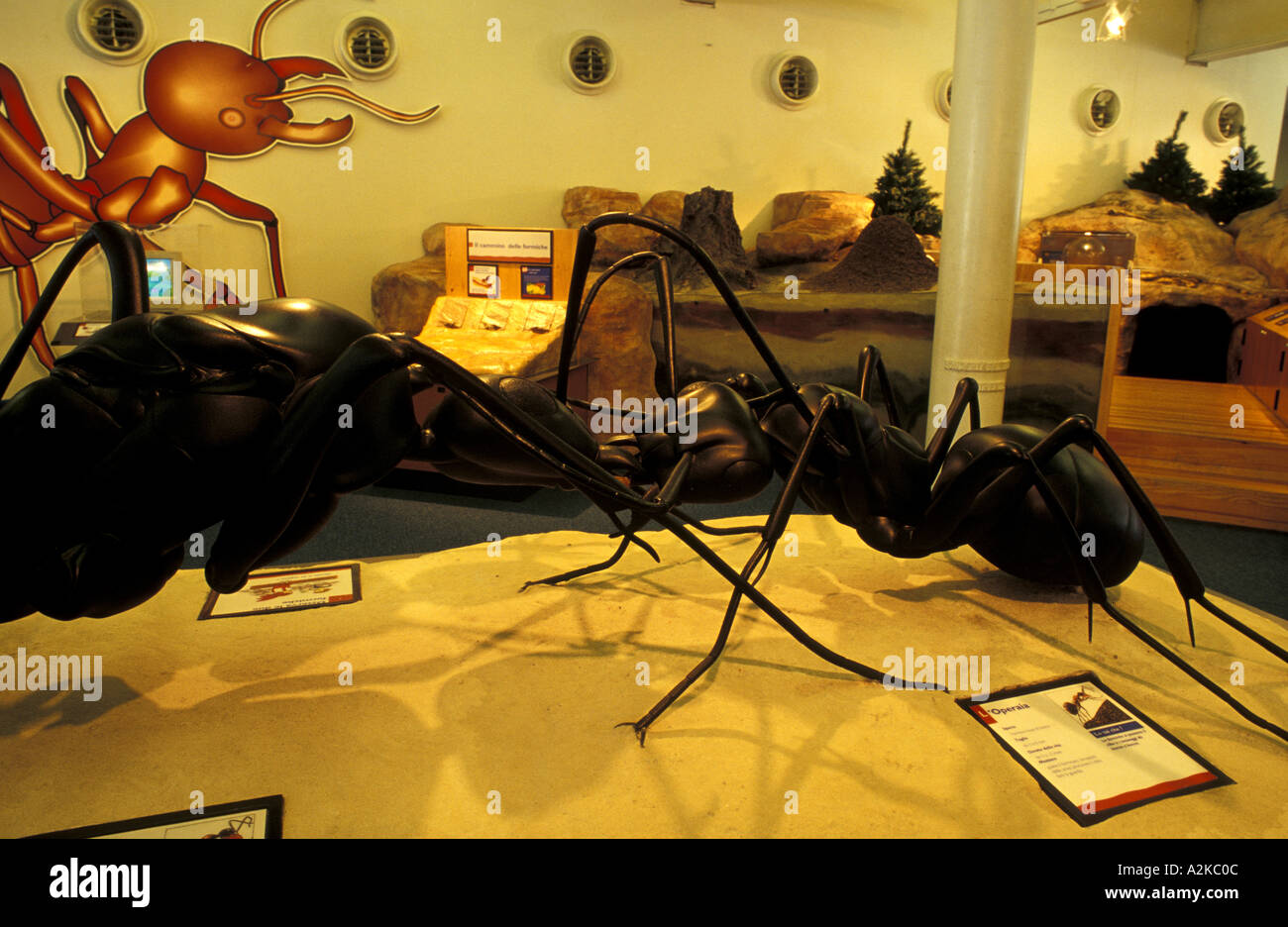 Children of ants hi-res stock photography and images - Alamy