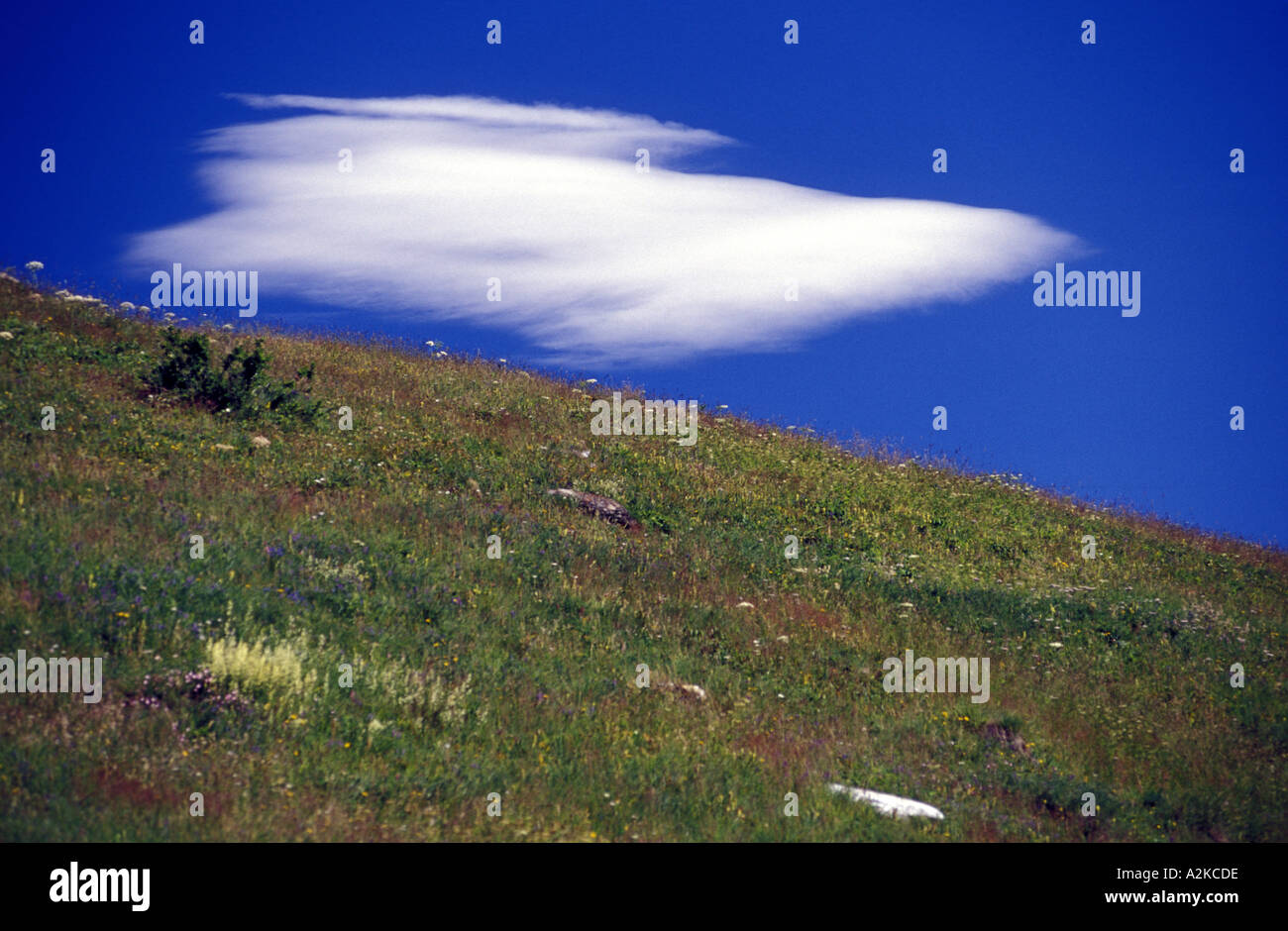 Cloud and field Stock Photo - Alamy