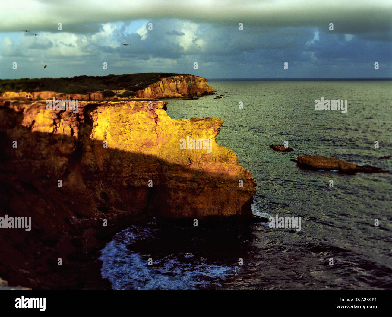 Caribbean, Puerto Rico, Cabo Rojo, cliffs Stock Photo - Alamy
