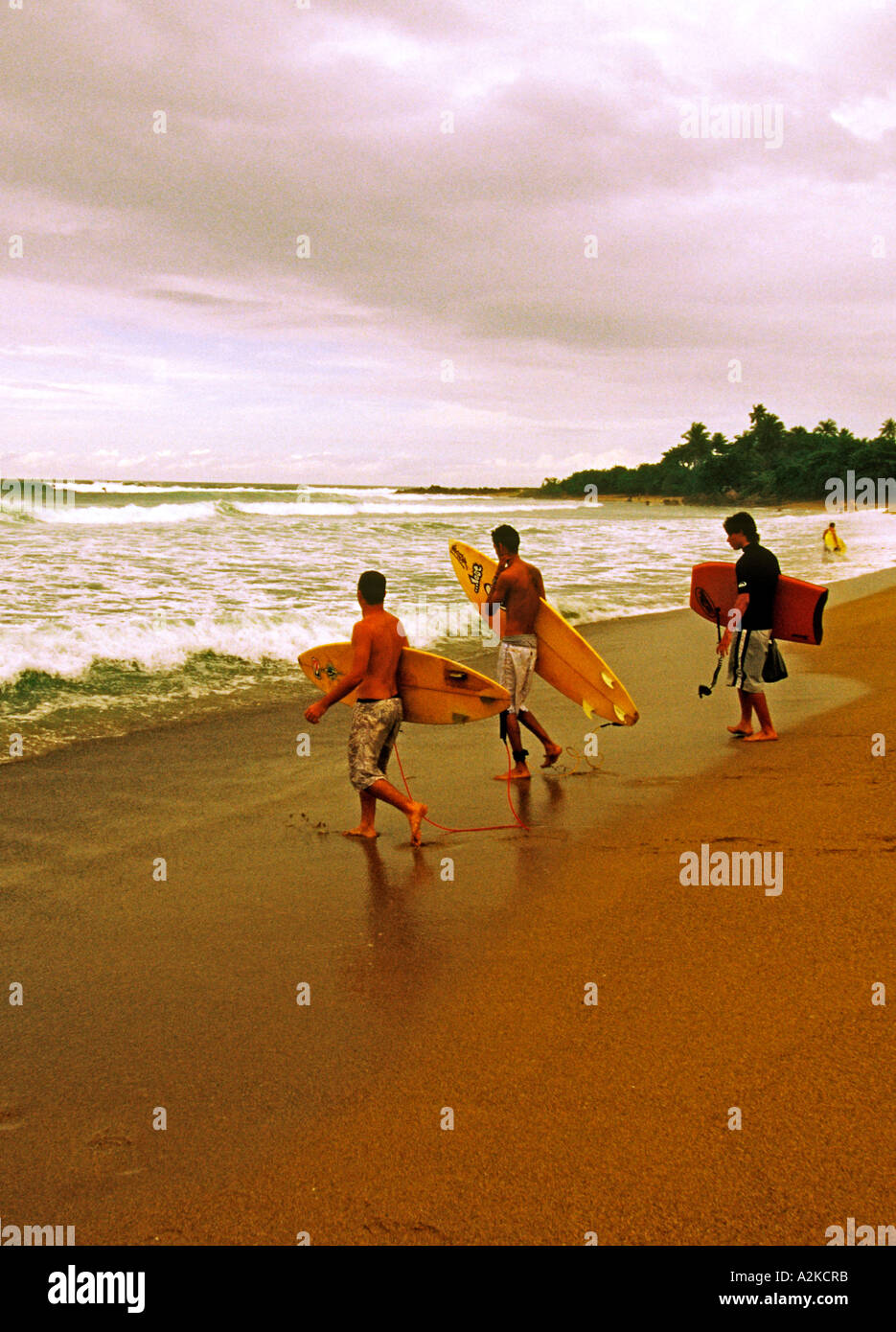 Caribbean, Puerto Rico, Surfing in Rincon Stock Photo - Alamy
