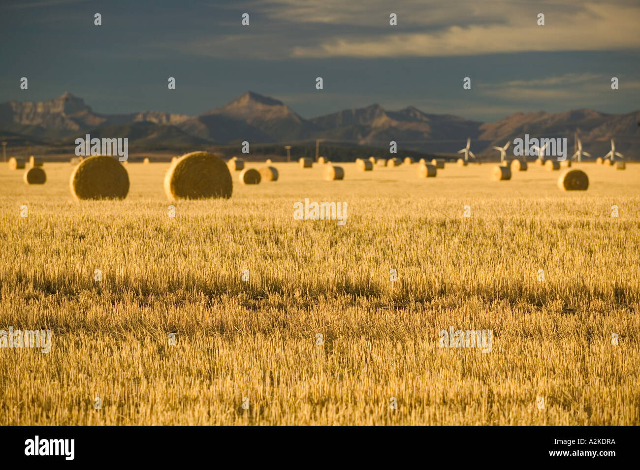 Cowley ridge wind farm hi-res stock photography and images - Alamy