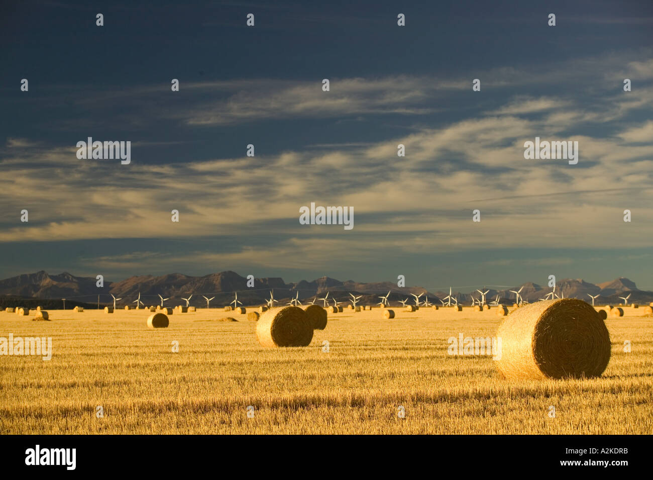 Canada, Alberta, Crowsnest Pass Area: Cowley Ridge Wind Farm Landscape ...