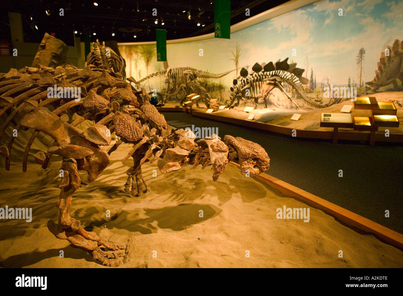 Canada, Alberta, Drumheller: Royal Tyrrell Museum of Palaeontology ...