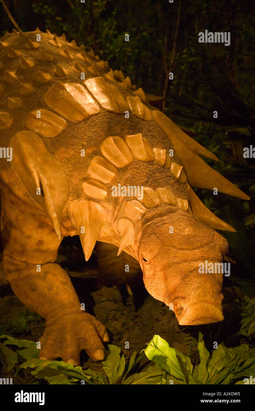 Edmontonia hi-res stock photography and images - Alamy