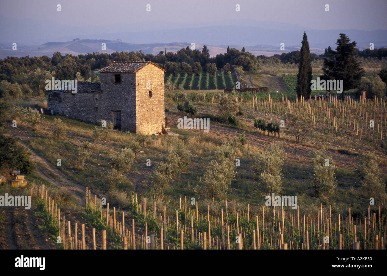 House and field Stock Photo - Alamy