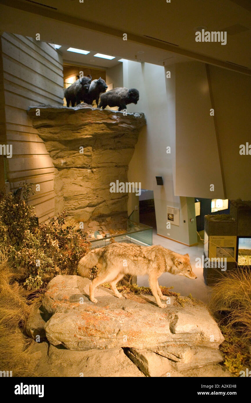 Canada, Alberta, Fort MacLeod: Head Smashed, In Buffalo Jump Centre ...
