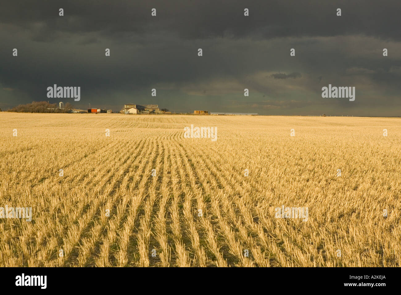 Stand off alberta hi-res stock photography and images - Alamy