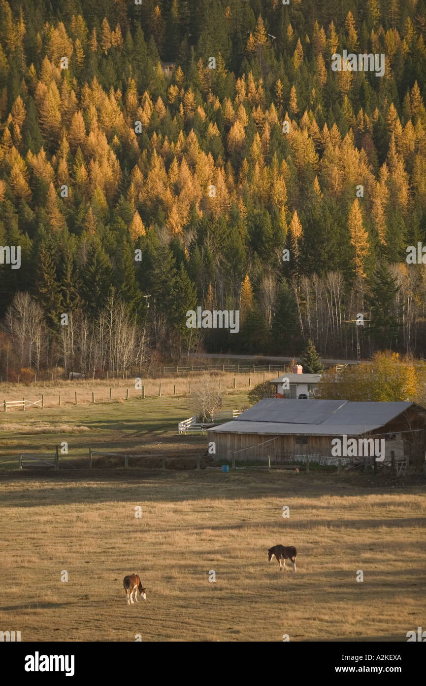 Cranbrook british columbia hi-res stock photography and images - Alamy