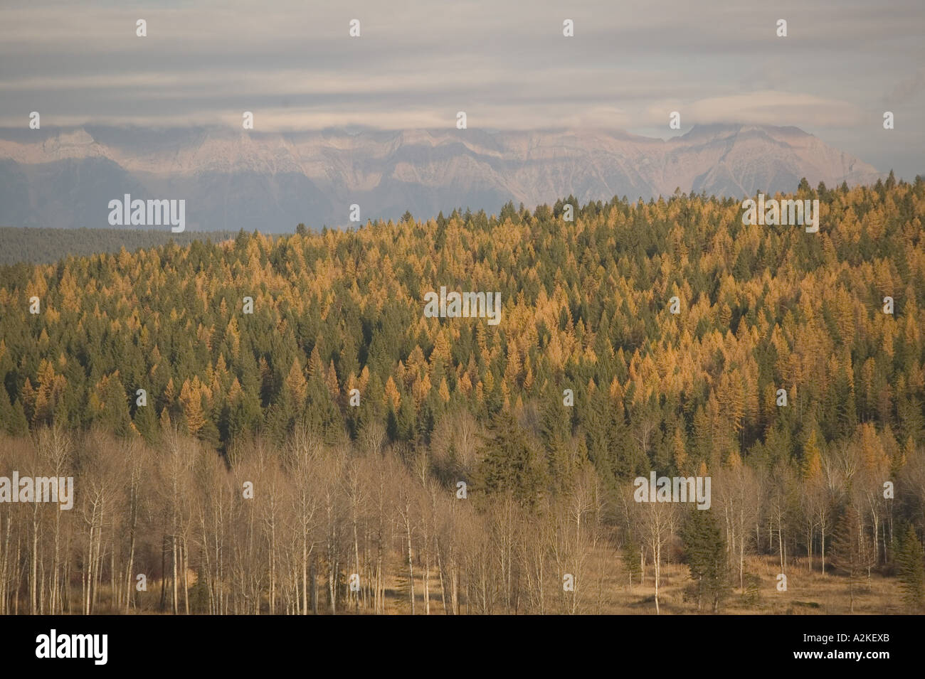 CANADA, British Columbia, Cranbrook. Mountain Landscape / Autumn ...