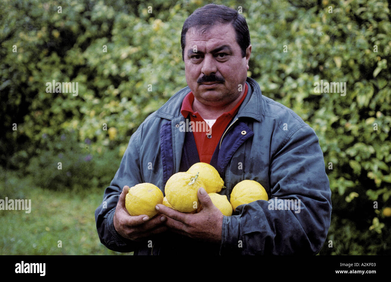 Gregorio man hi-res stock photography and images - Alamy