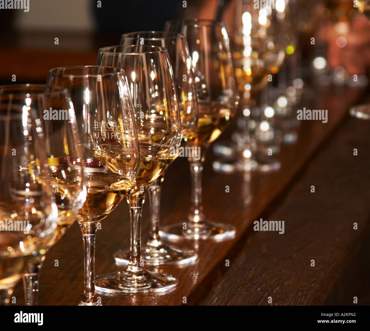Wine glasses in a row for a wine tasting with Georges Vernay Condrieu ...