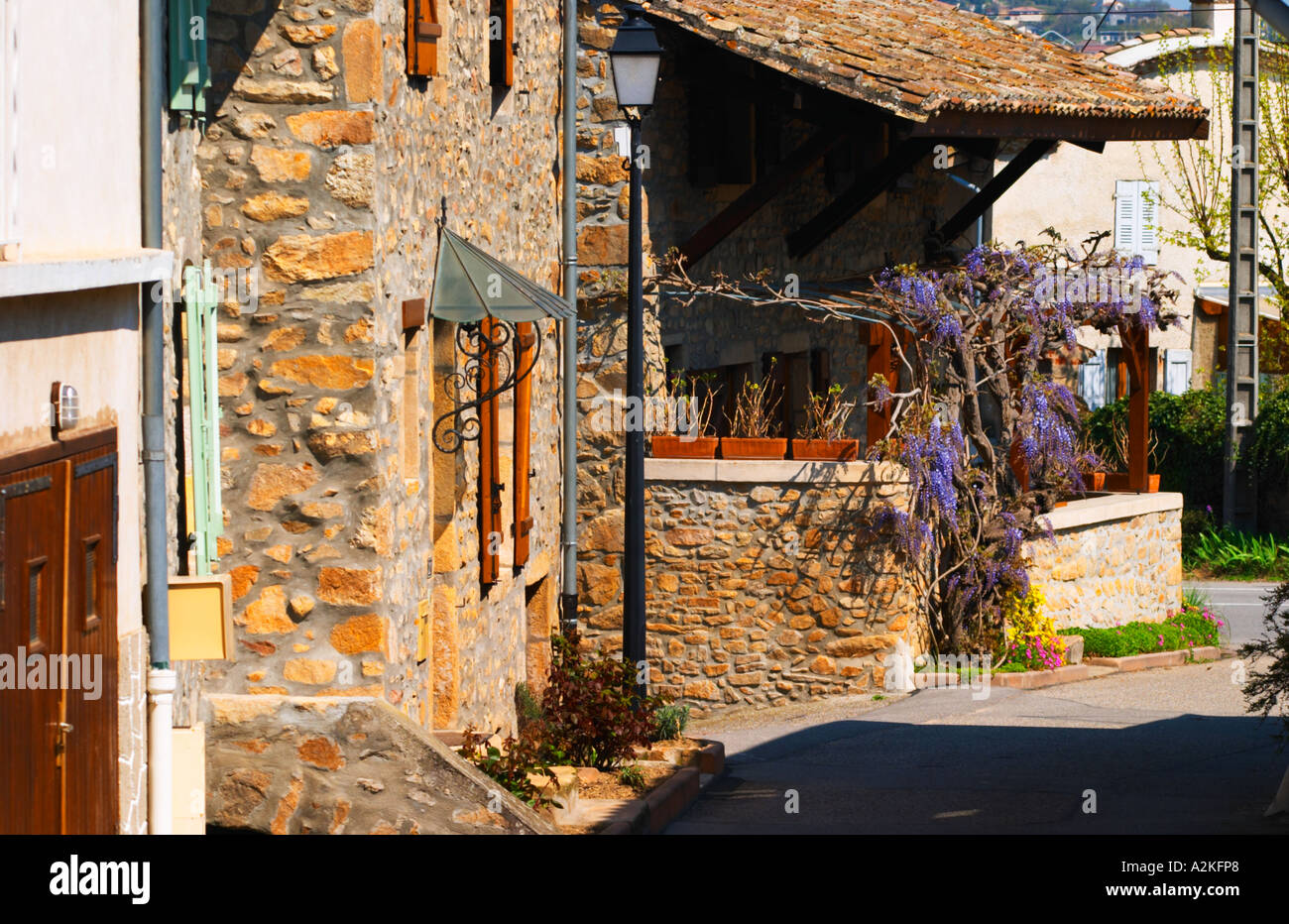 In Condrieu: old stone houses and a blue Wisteria sinensis blue flowers ...