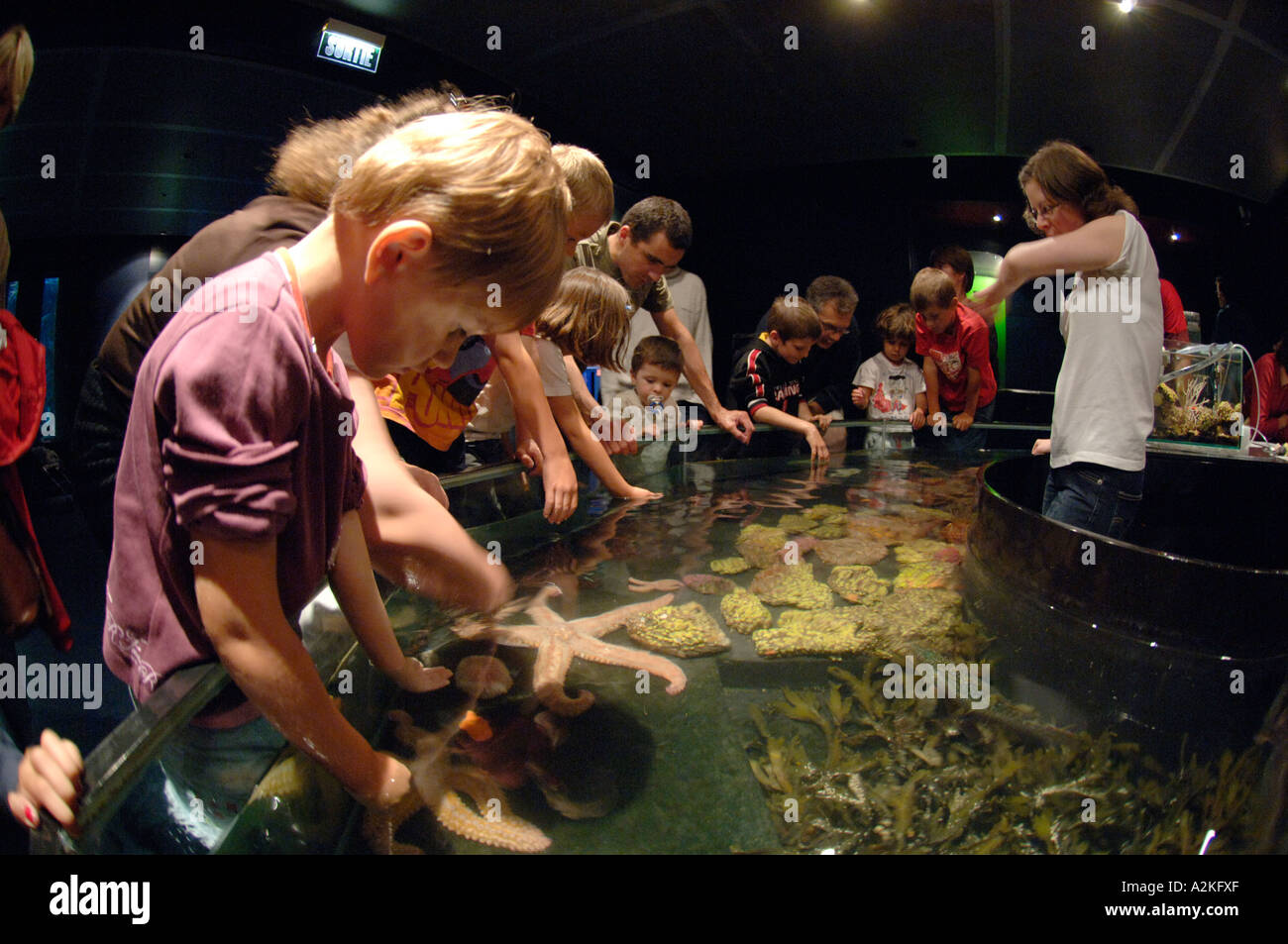 Touch tank children hi-res stock photography and images - Alamy