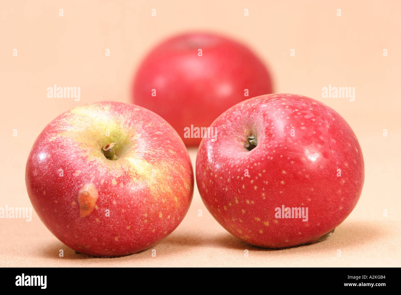 Sternrenette hi-res stock photography and images - Alamy