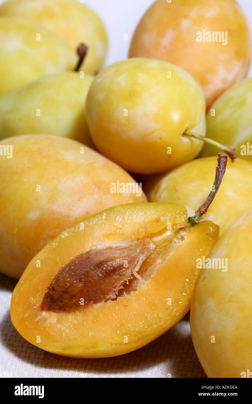 Plum sort Tipala Stock Photo - Alamy