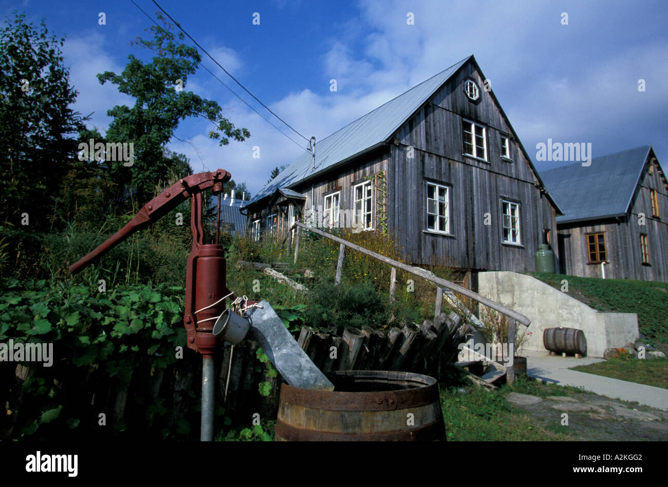 Domaine acer hi-res stock photography and images - Alamy