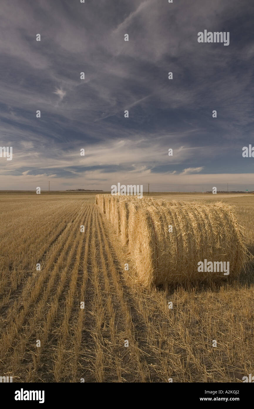 Craik saskatchewan hi-res stock photography and images - Alamy