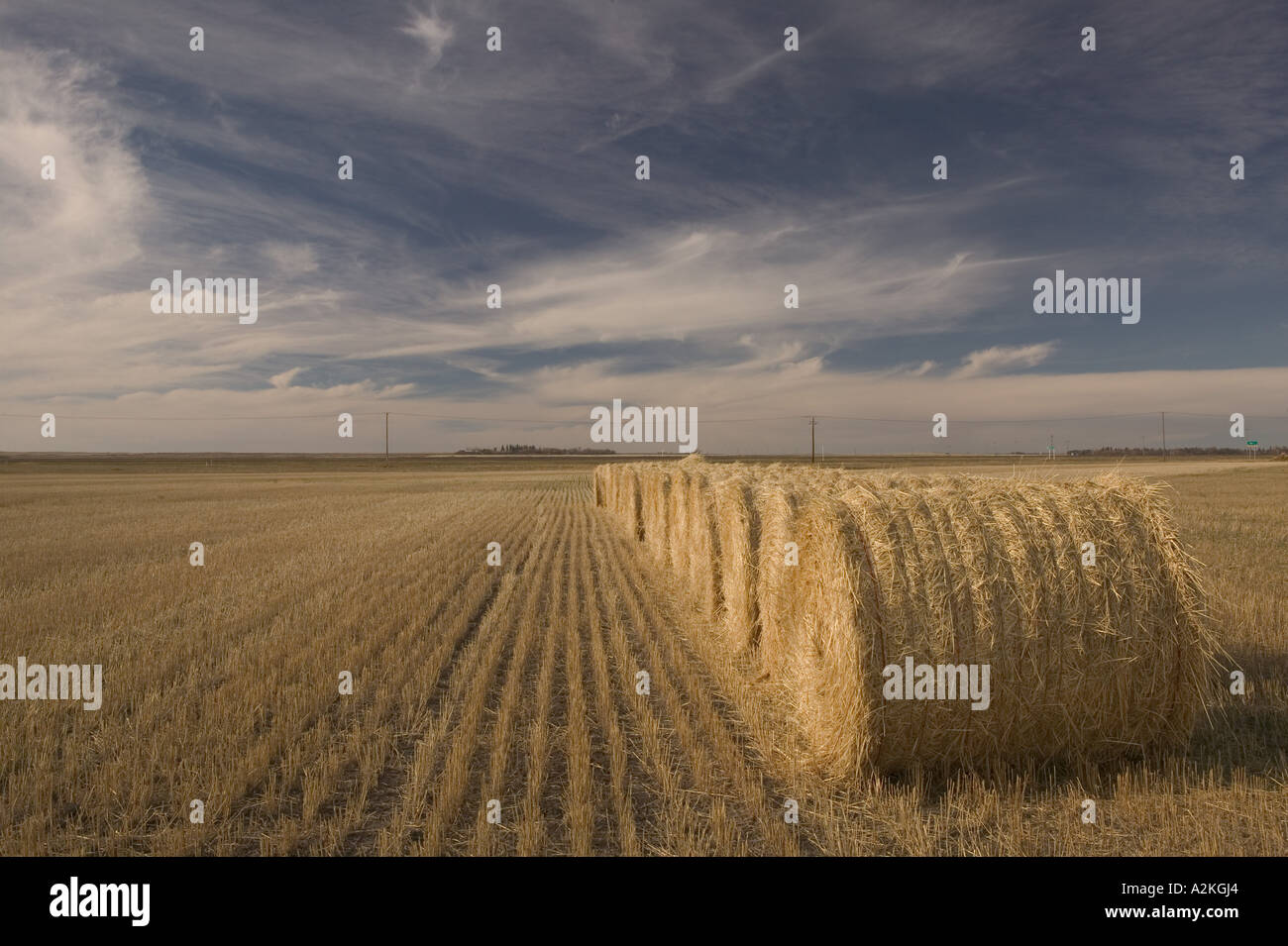 Craik saskatchewan hi-res stock photography and images - Alamy