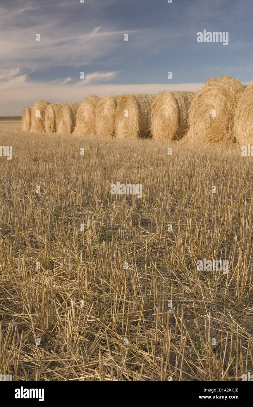Craik saskatchewan hi-res stock photography and images - Alamy