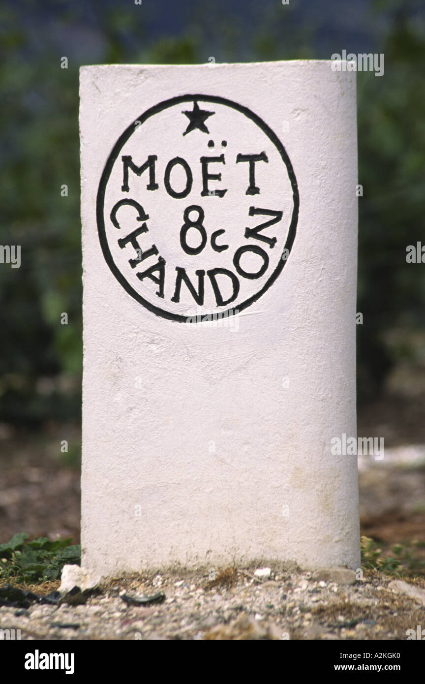 Moet chandon epernay vineyard hi-res stock photography and images - Alamy