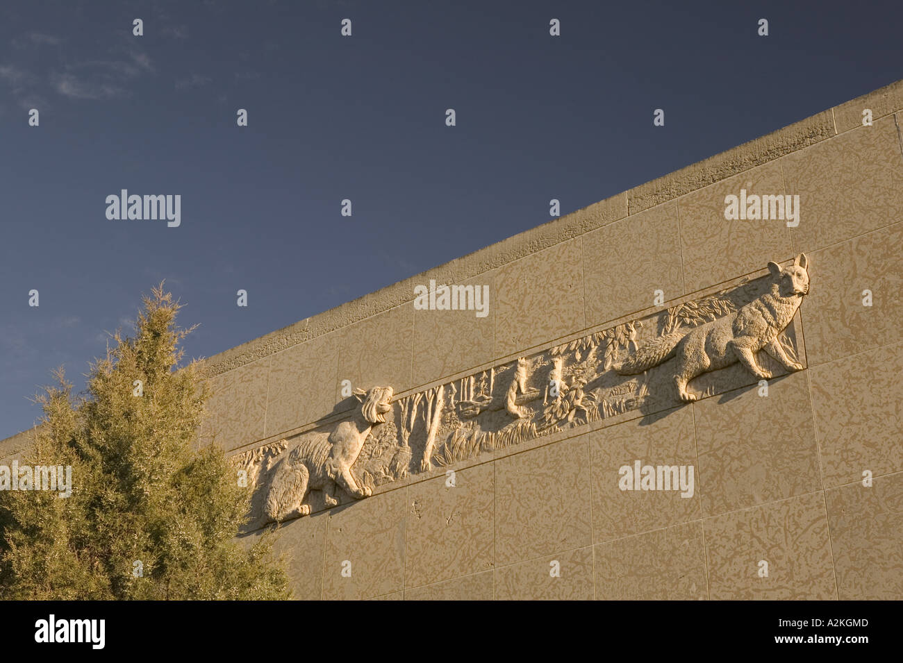 Royal saskatchewan museum hi-res stock photography and images - Alamy