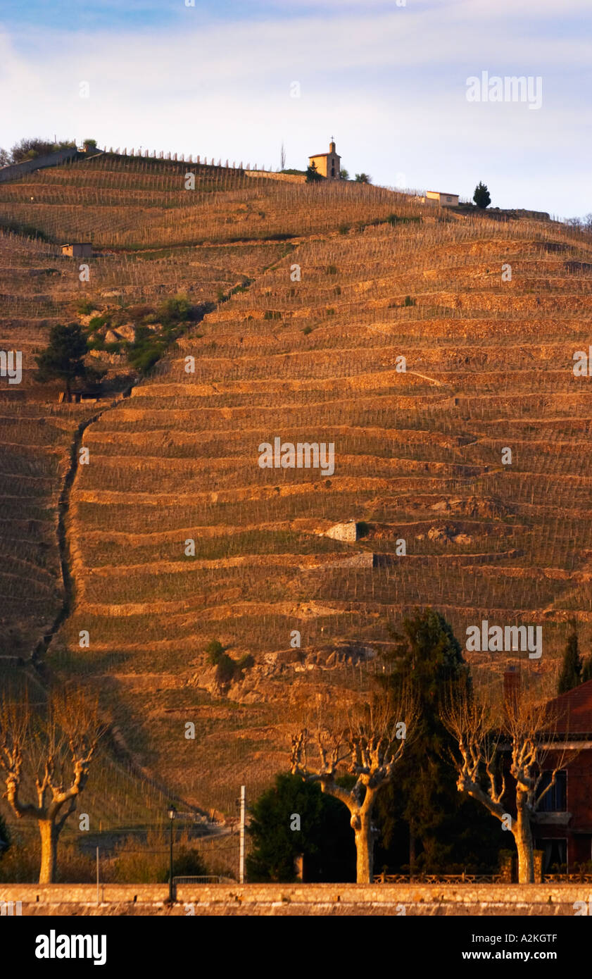 Tain l'hermitage vineyards chapel hi-res stock photography and images ...