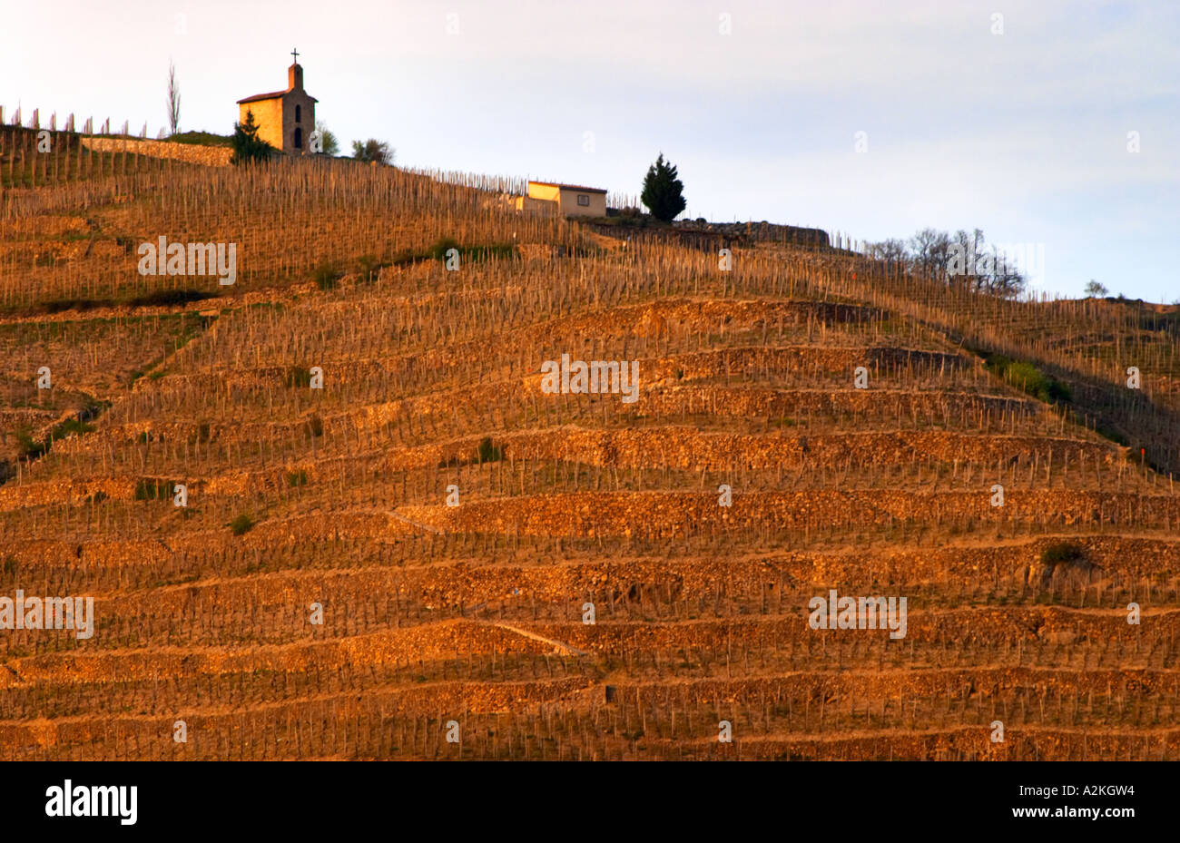 Tain l'hermitage vineyards chapel hi-res stock photography and images ...