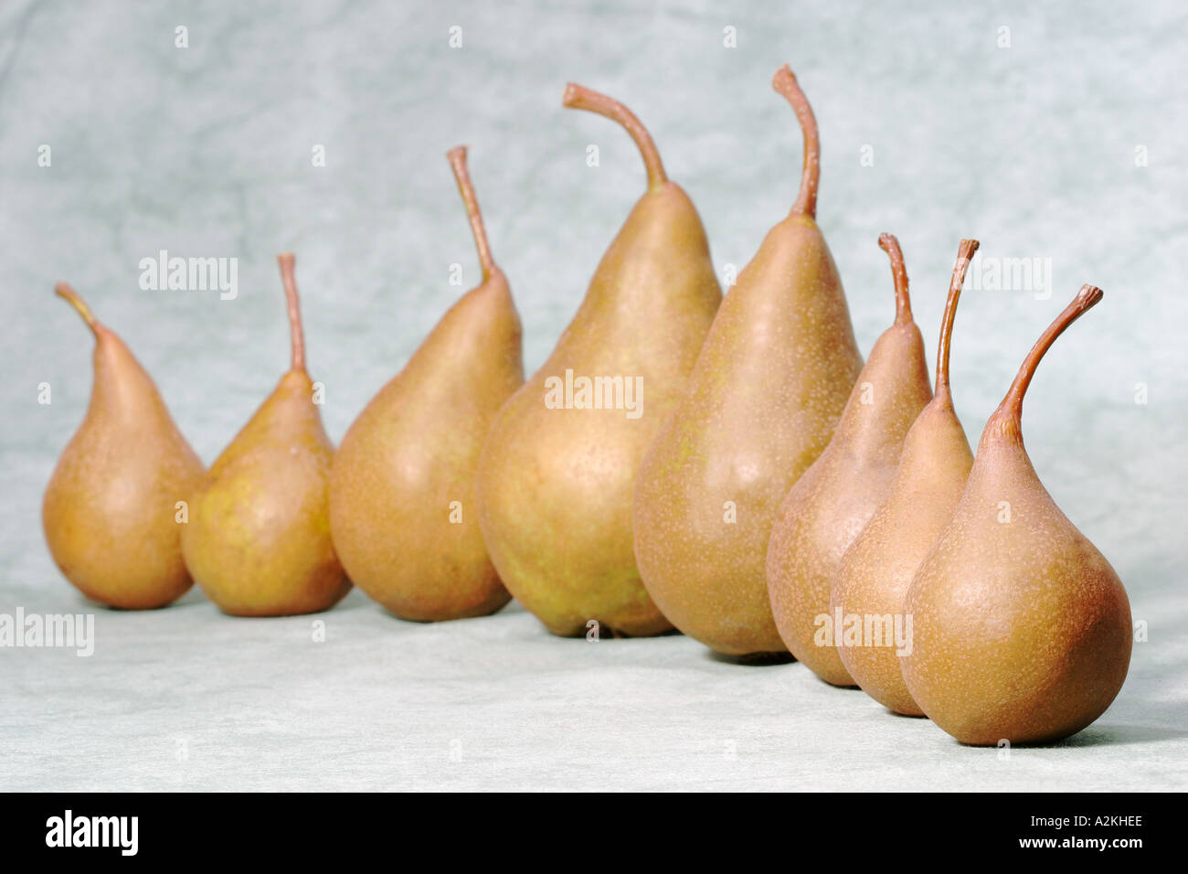 Pears are standing in a row Stock Photo - Alamy