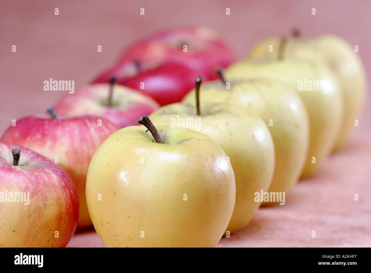 Another side of nature hi-res stock photography and images - Alamy