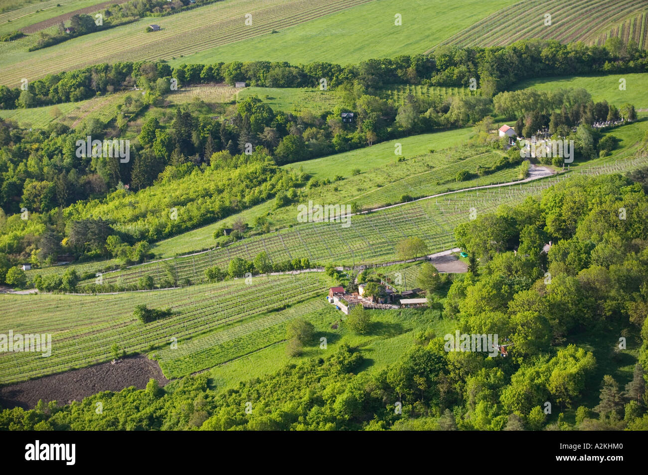 AUSTRIA, Vienna (Grinzing): Leopoldsberg, Mountain View of Vineyards ...
