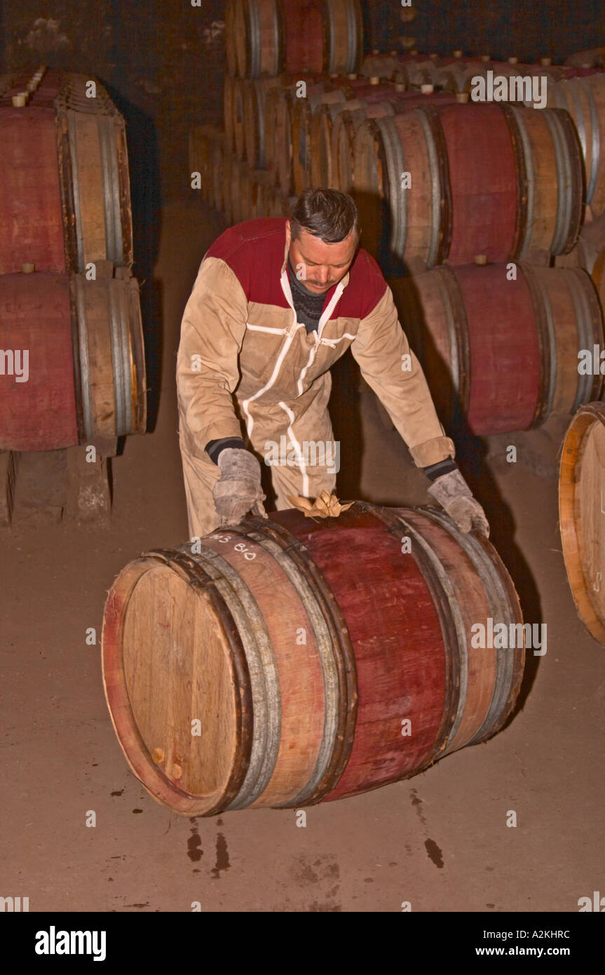 Barrel rolling cellar hi-res stock photography and images - Alamy