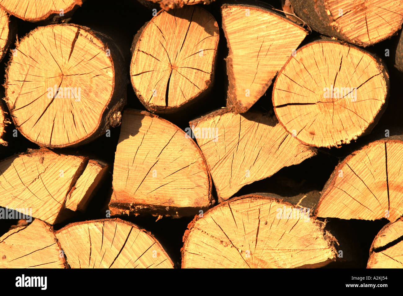 Stacking beech fire wood Stock Photo - Alamy