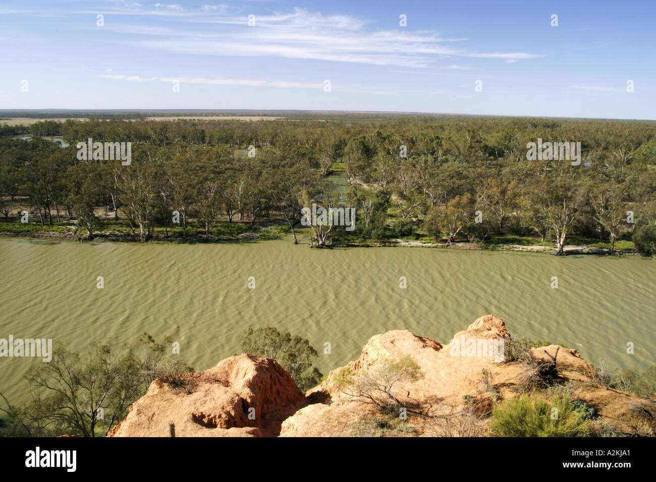Murray river with red cliffs and eucalyptus trees on the bank Paringa ...