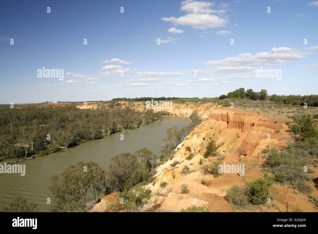 Murray river with red cliffs and eucalyptus trees on the bank Paringa ...