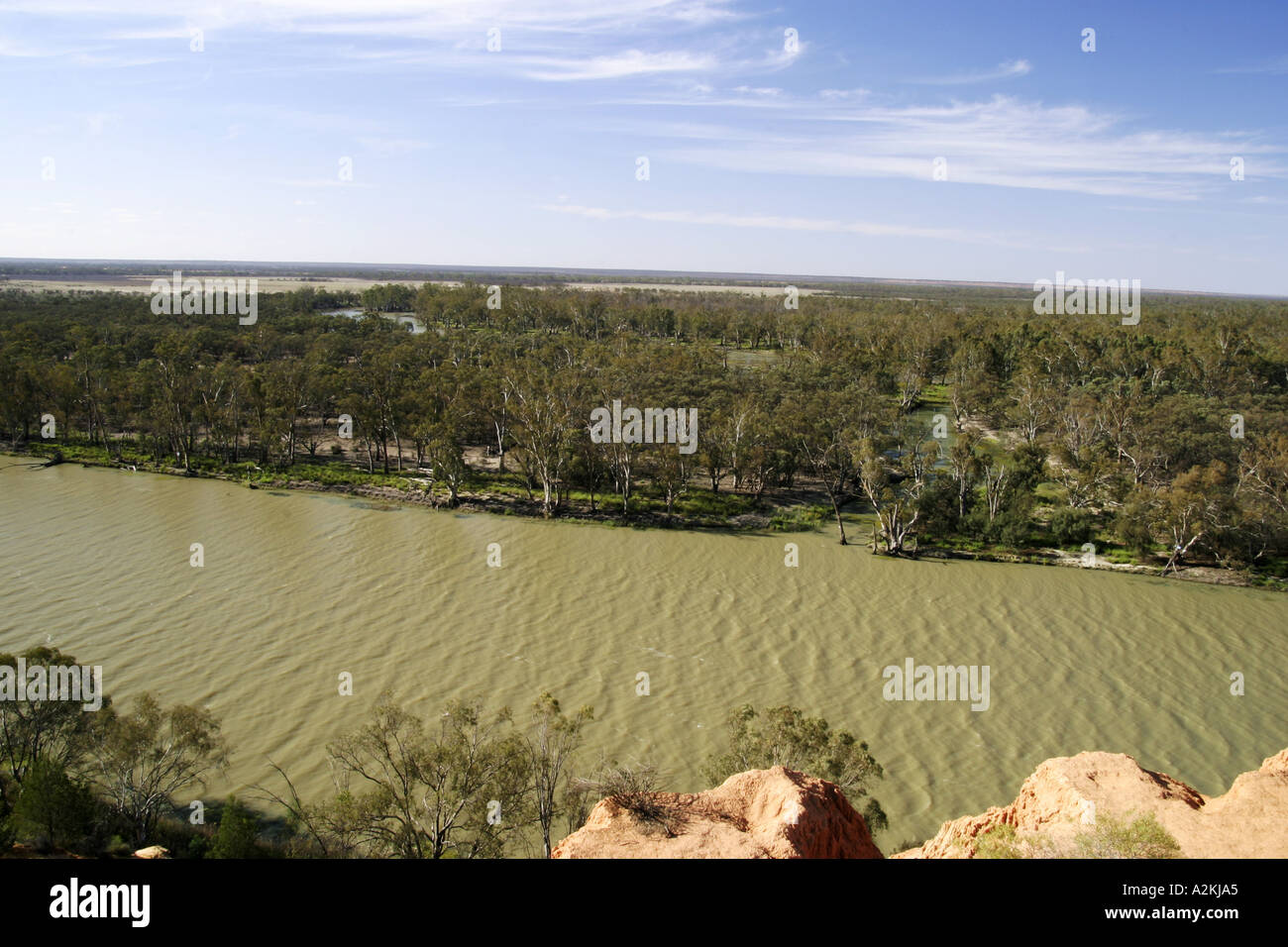 Murray river with red cliffs and eucalyptus trees on the bank Paringa ...