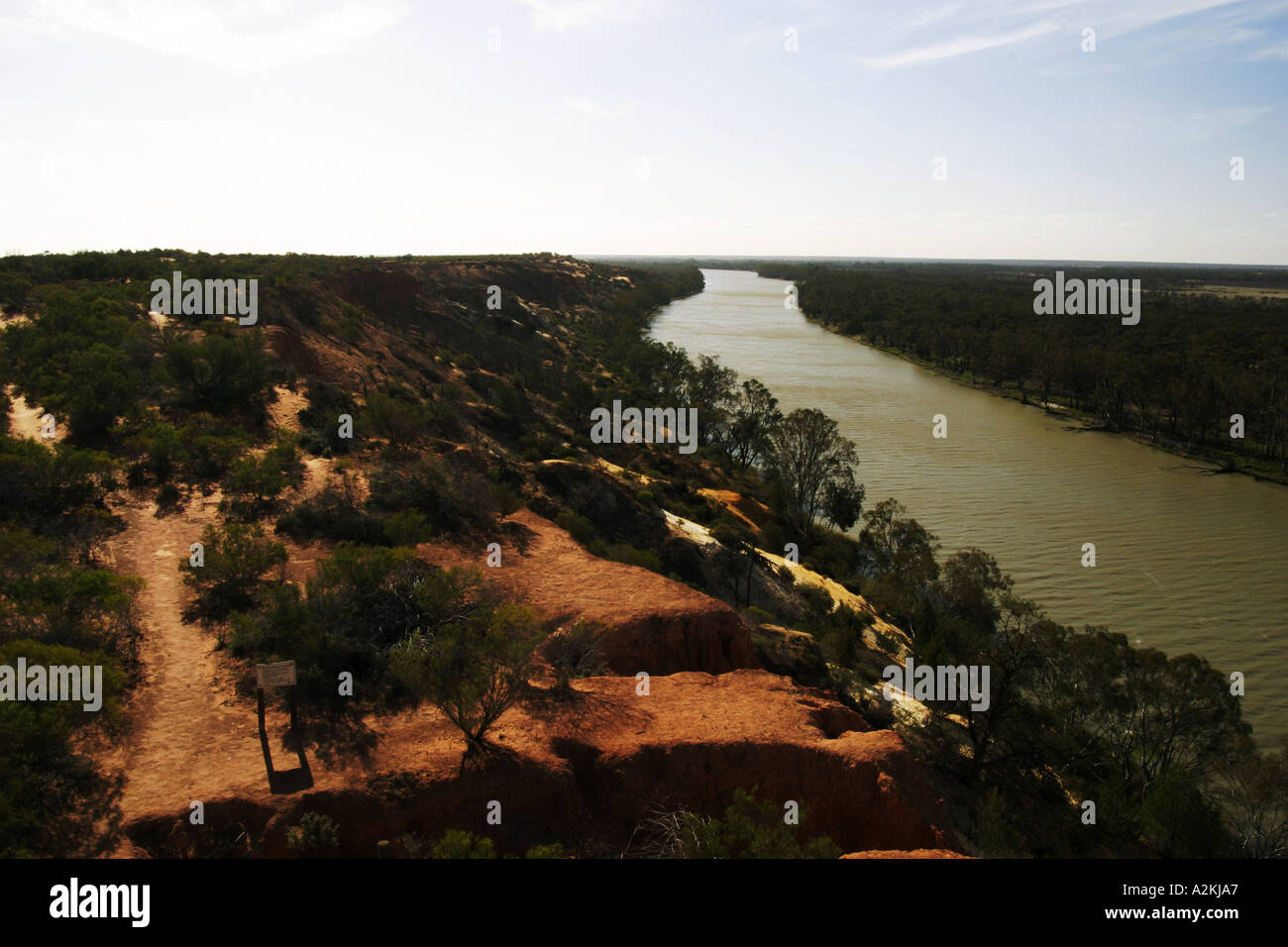 Murray river with red cliffs and eucalyptus trees on the bank Paringa ...
