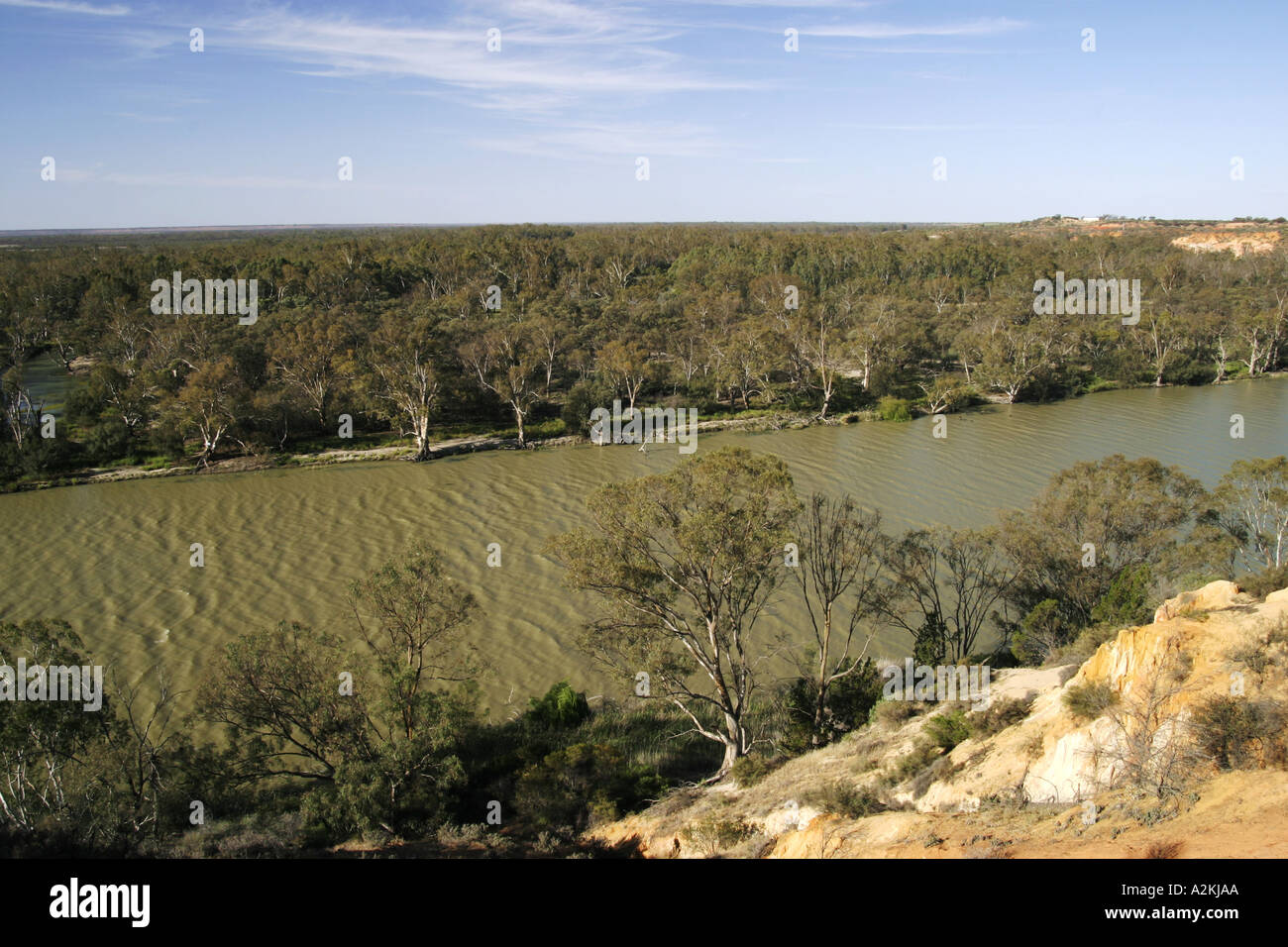 Murray river with red cliffs and eucalyptus trees on the bank Paringa ...