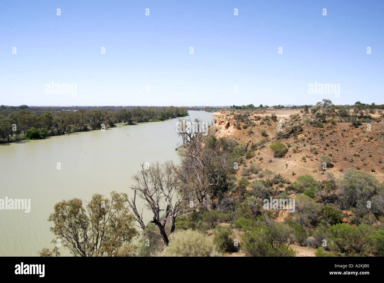 Murray river with red cliffs and eucalyptus trees on the bank Paringa ...