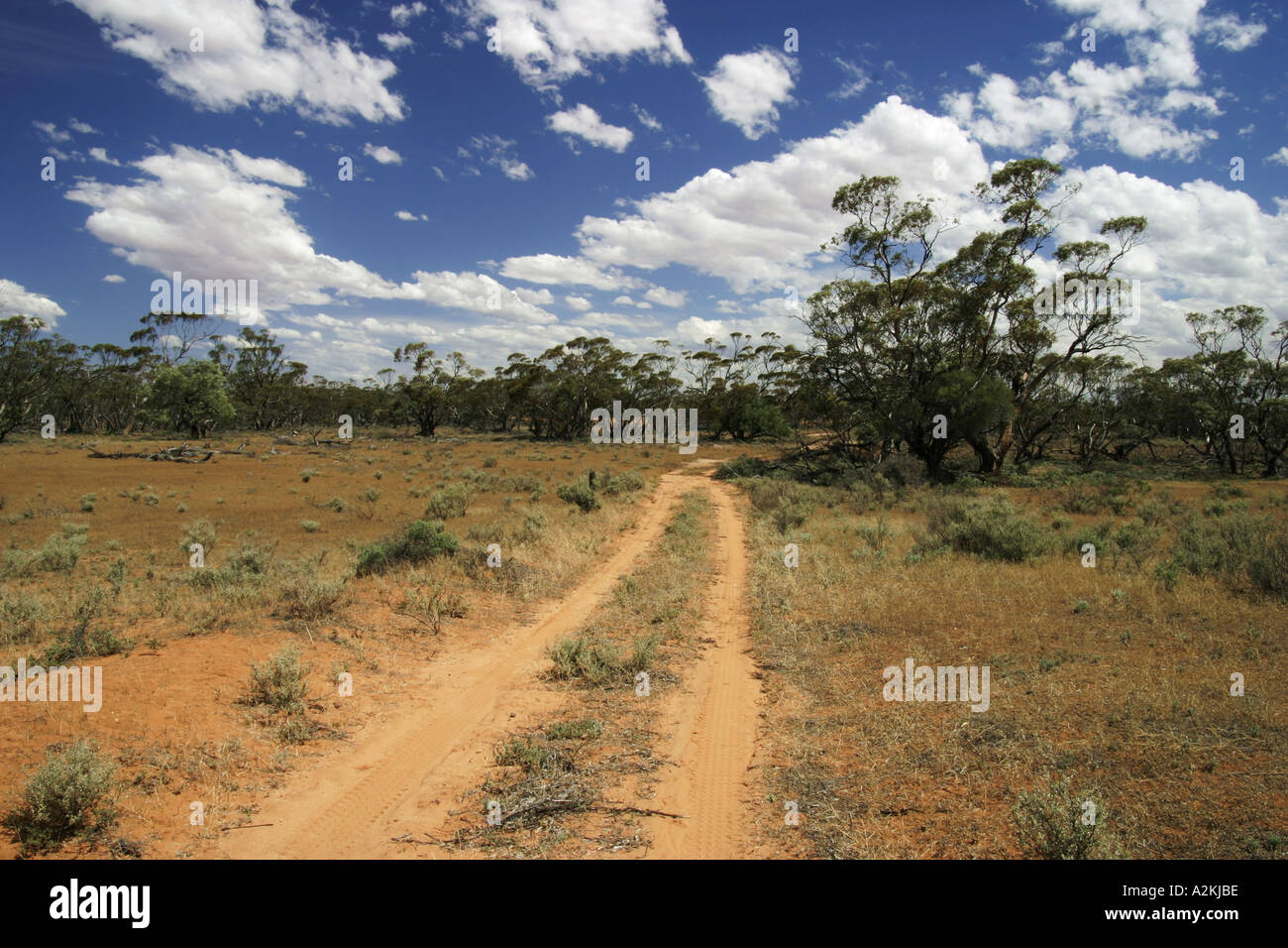 Dusty road through the veld of South Australia Stock Photo - Alamy