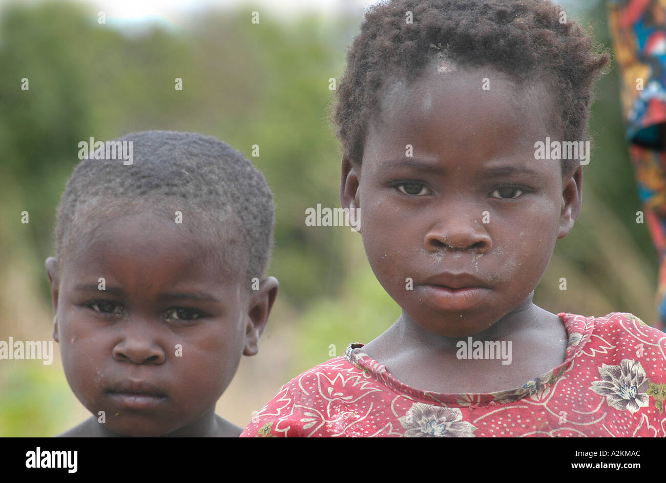 portrait of a little african girl Stock Photo - Alamy