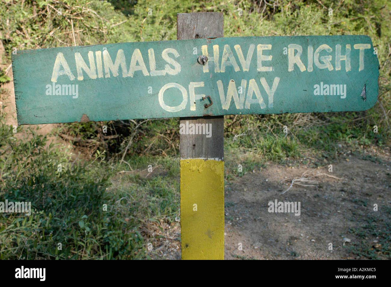 roadsign animals have the right of way in the South Luangwa national ...