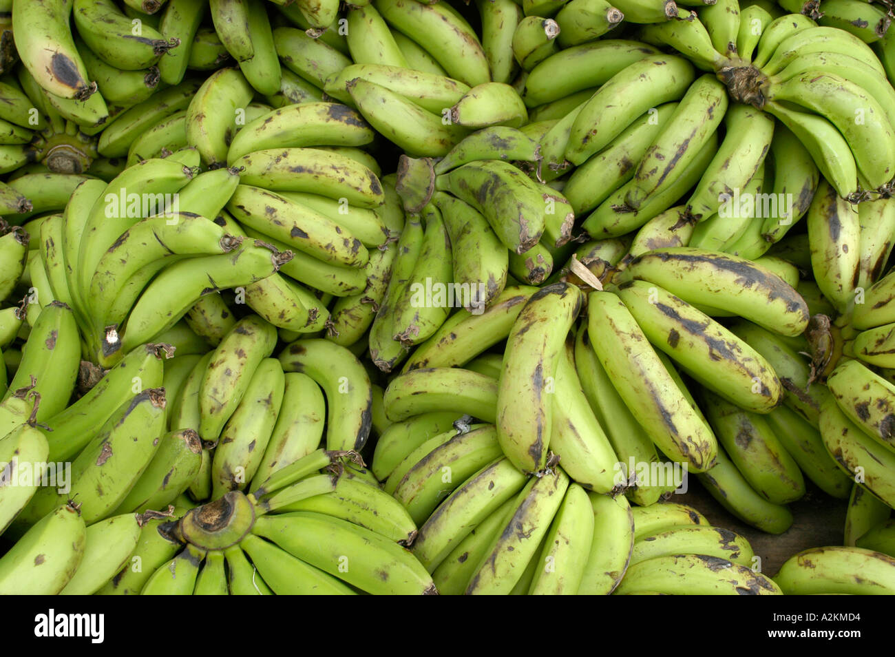 African bananas hi-res stock photography and images - Alamy