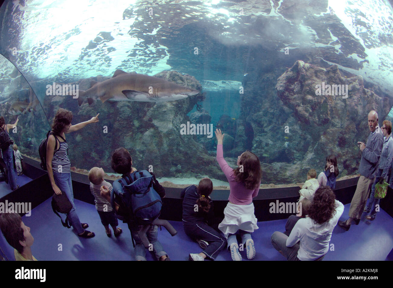 Oceanopolis Brest Britanny France EU Stock Photo - Alamy