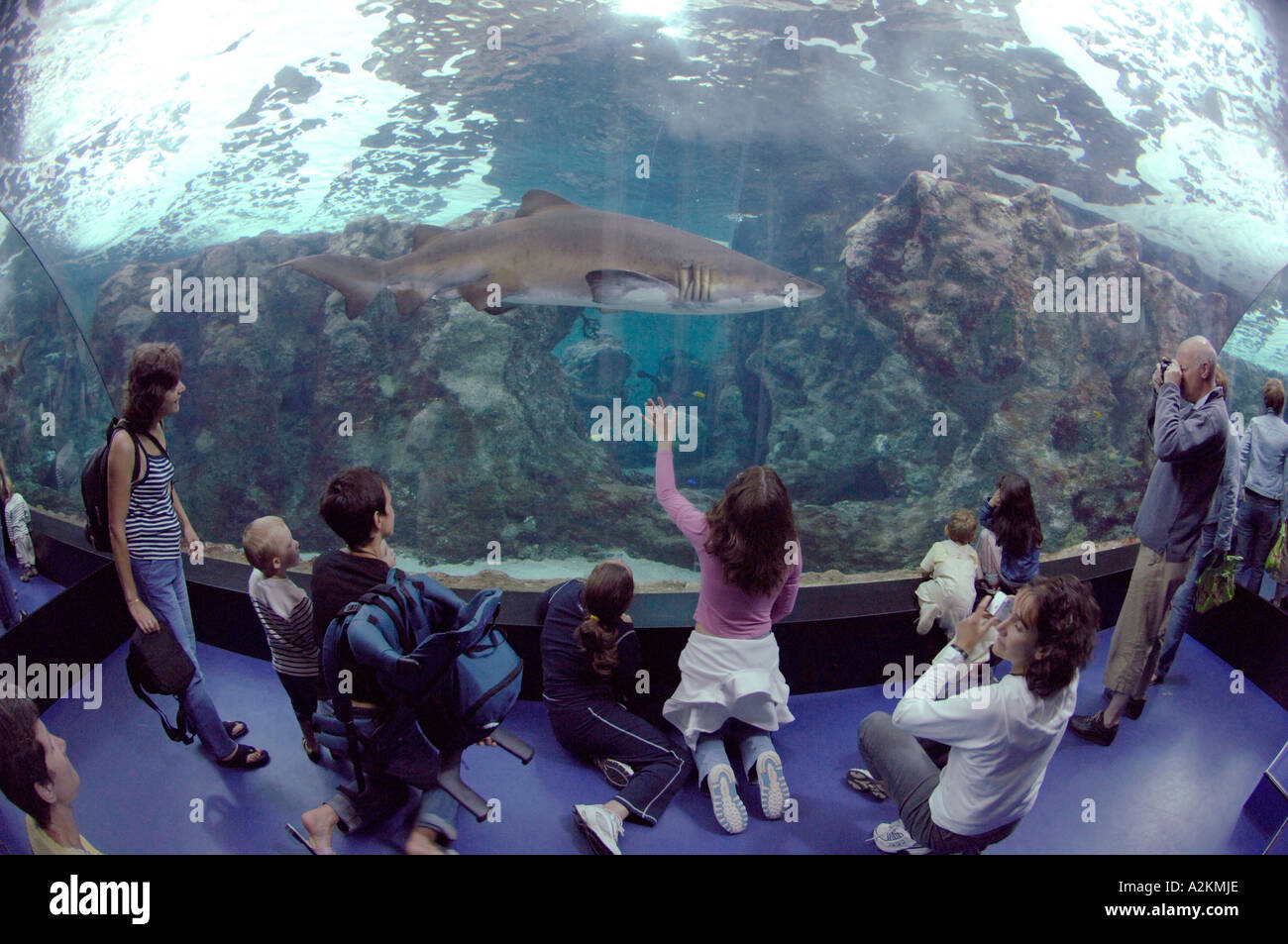 Oceanopolis Brest Britanny France EU Stock Photo - Alamy